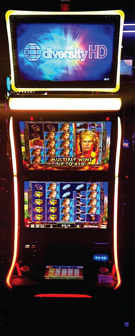 The Ultimate Pinball Experience: Tim Arnold's Pinball Hall of Fame ...