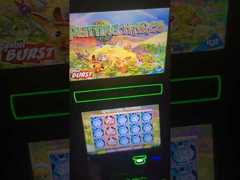 IGT Splitting Hares Video Slot Machine – Top Line Slots